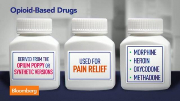 L'importanza dell'appropriatezza terapeutica nella terapia del dolore ...